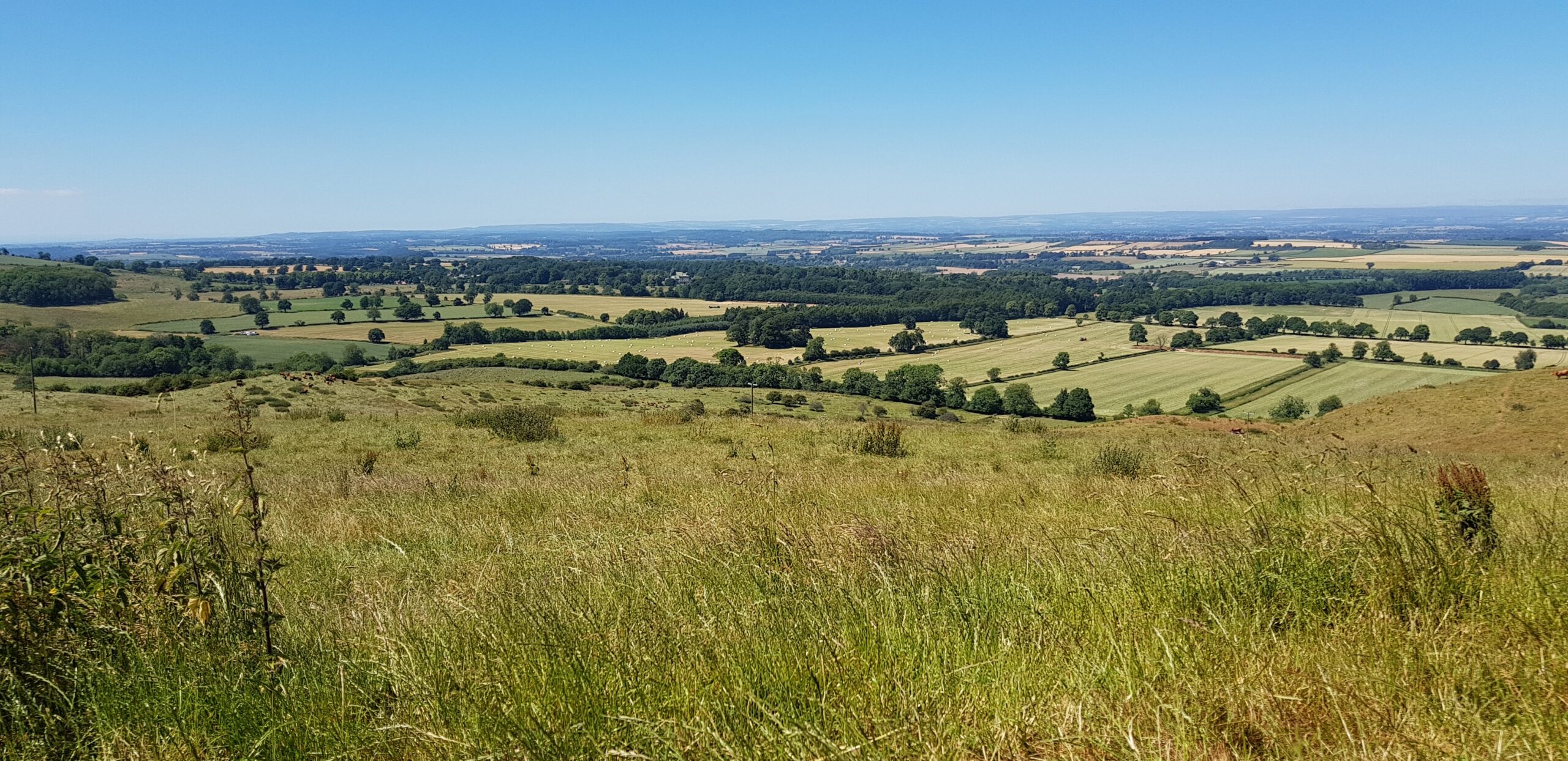 Introduction - Yorkshire Wolds Research Strategy